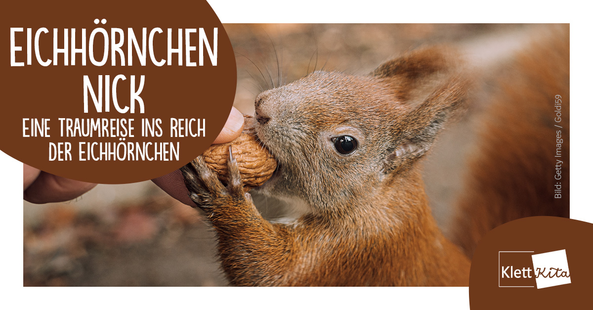 Eichhörnchen Nick – Eine Traumreise ins Reich der Eichhörnchen | Klett Kita Portal